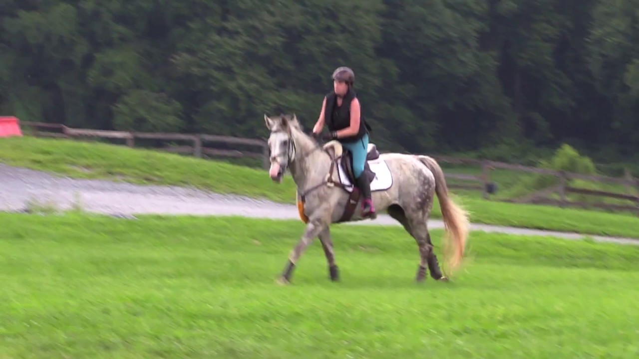 Angela Talbot Run Lesson Video 8 14 18 - YouTube