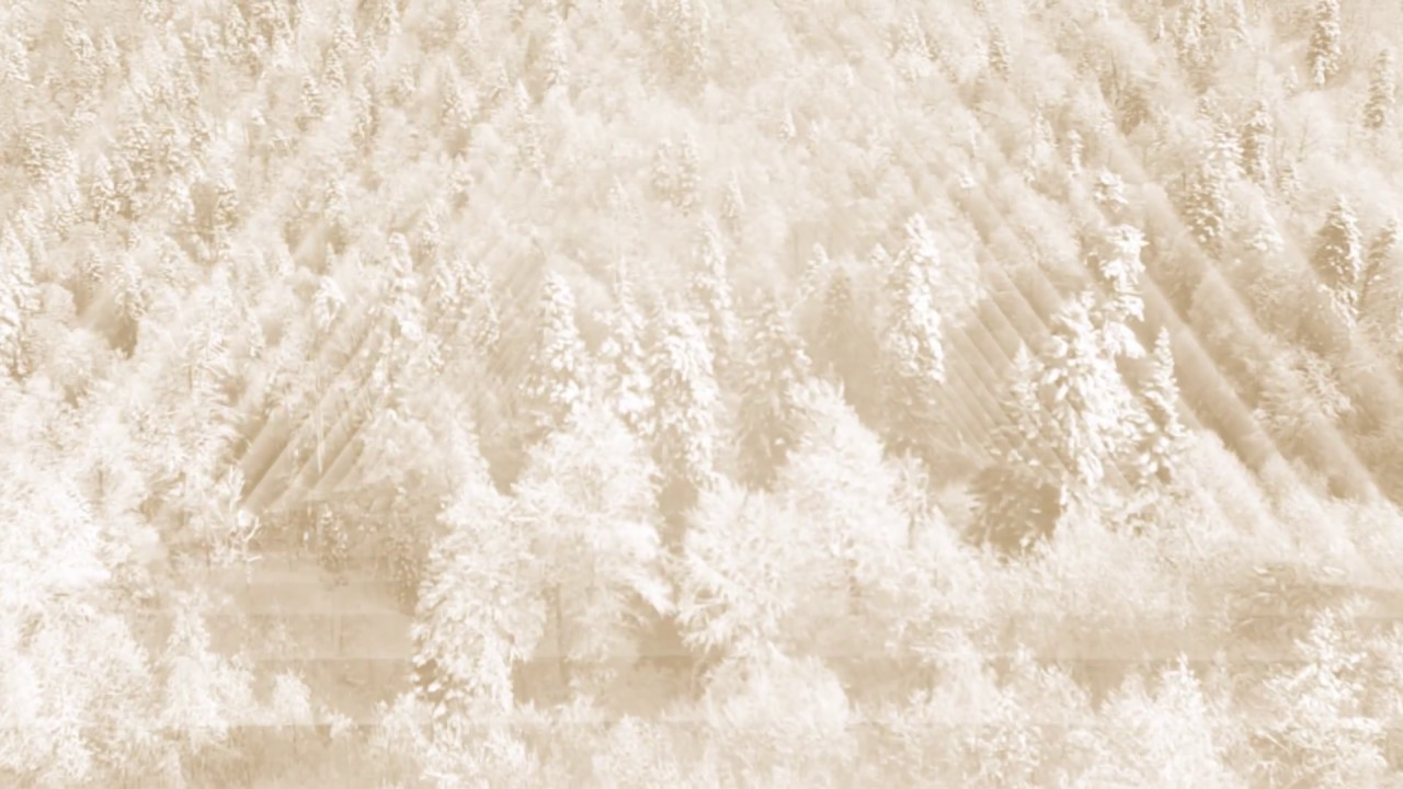 MINKOVSKI - Last Breath (Teaser) - YouTube