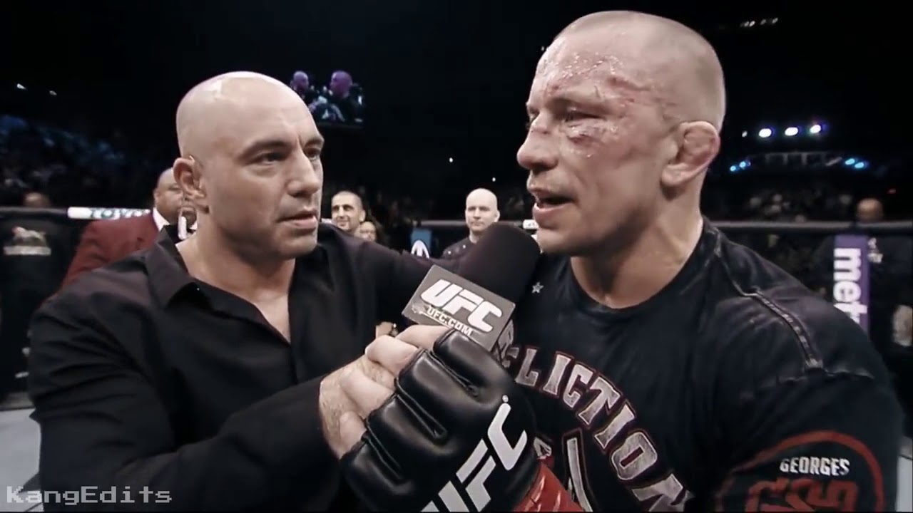 GSP A True Martial Artist UFC 217 the king of mma - YouTube