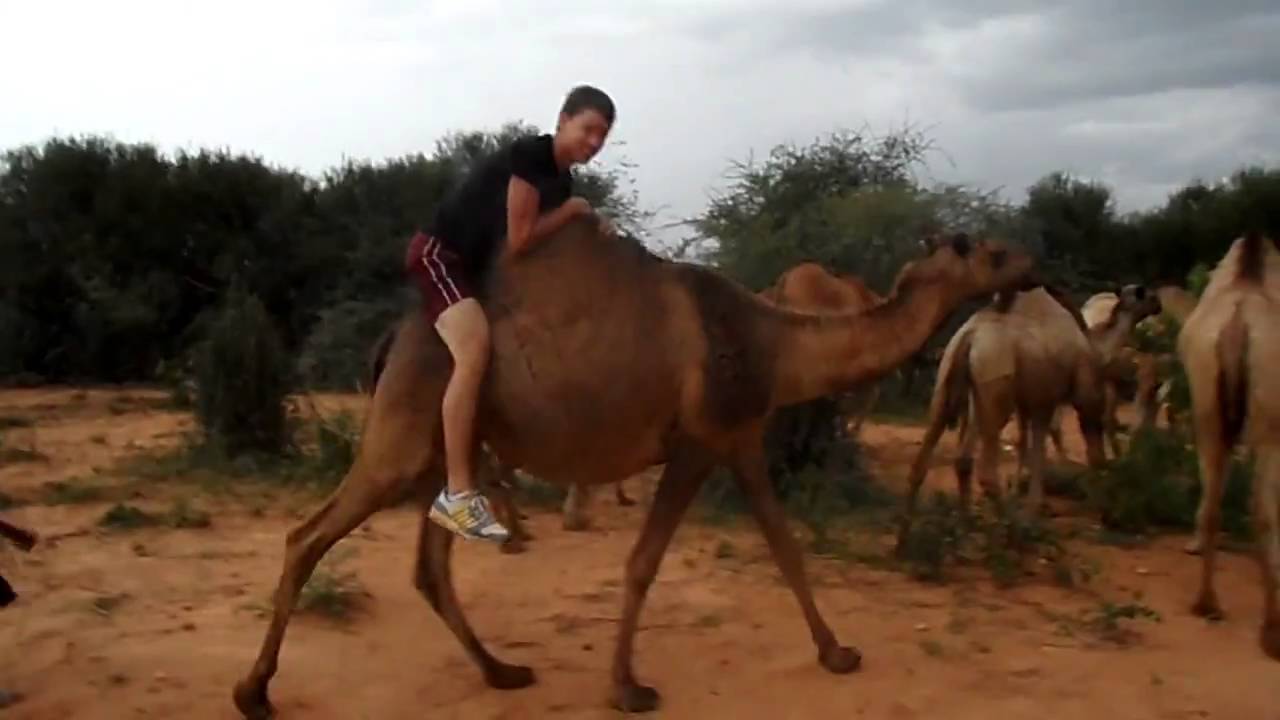 Gabe rides a wild camel...in Africa. - YouTube