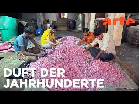 Der Duft Indiens | 360° Reportage | ARTE Fernweh