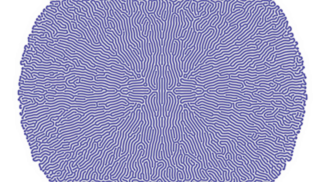 Reaction-Diffusion "coral growth" - YouTube