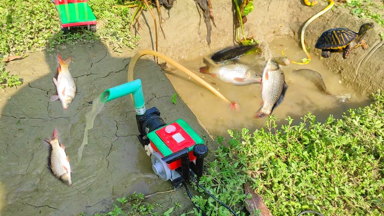 catch fish using mini water pump I fishing exciting I diy tractor @Mini ...
