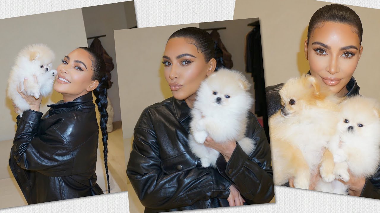 Puppy love🐶 Kim Kardashian is full of puppy love with her Pomeranians ...