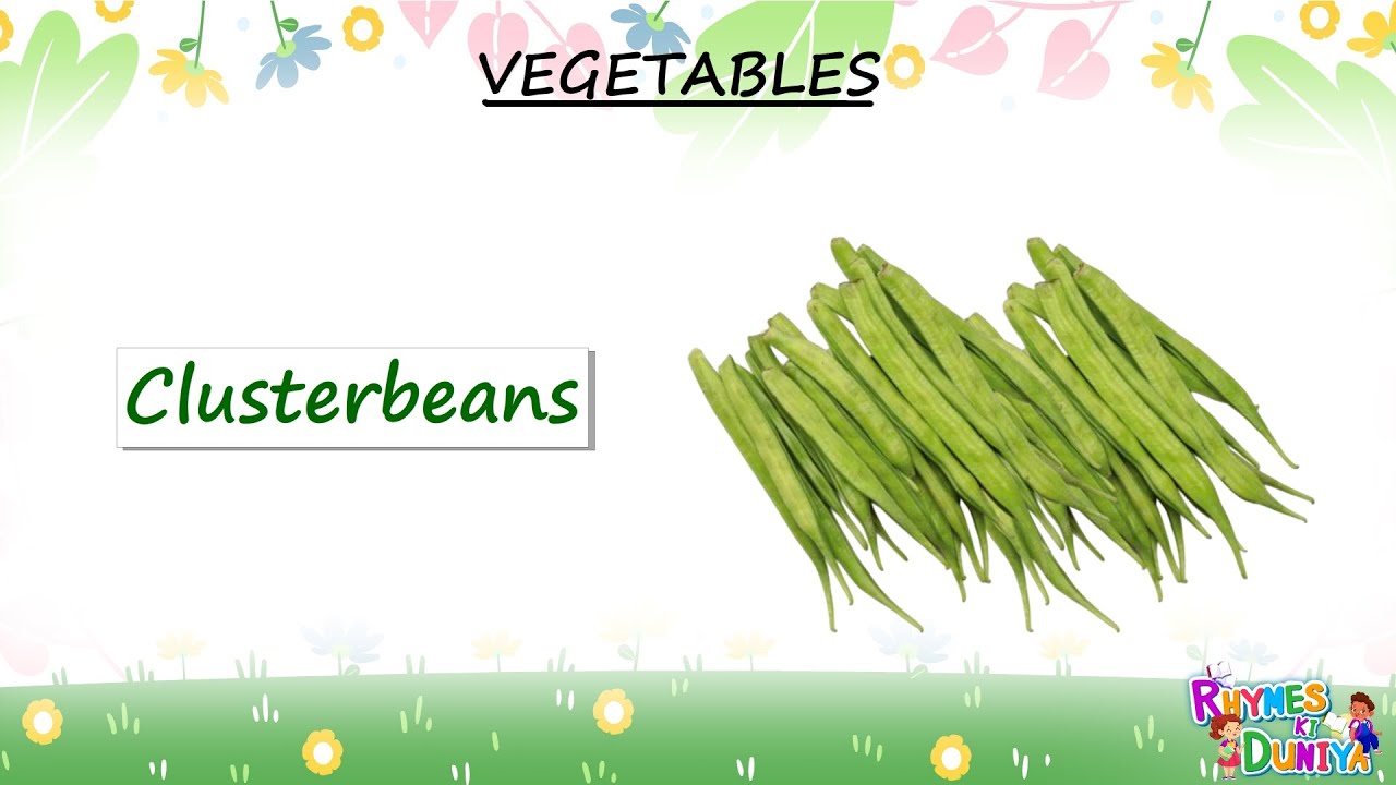 Vegetable Are Awesome! Learn Their Names with Fun! Jump Into vegetable ...
