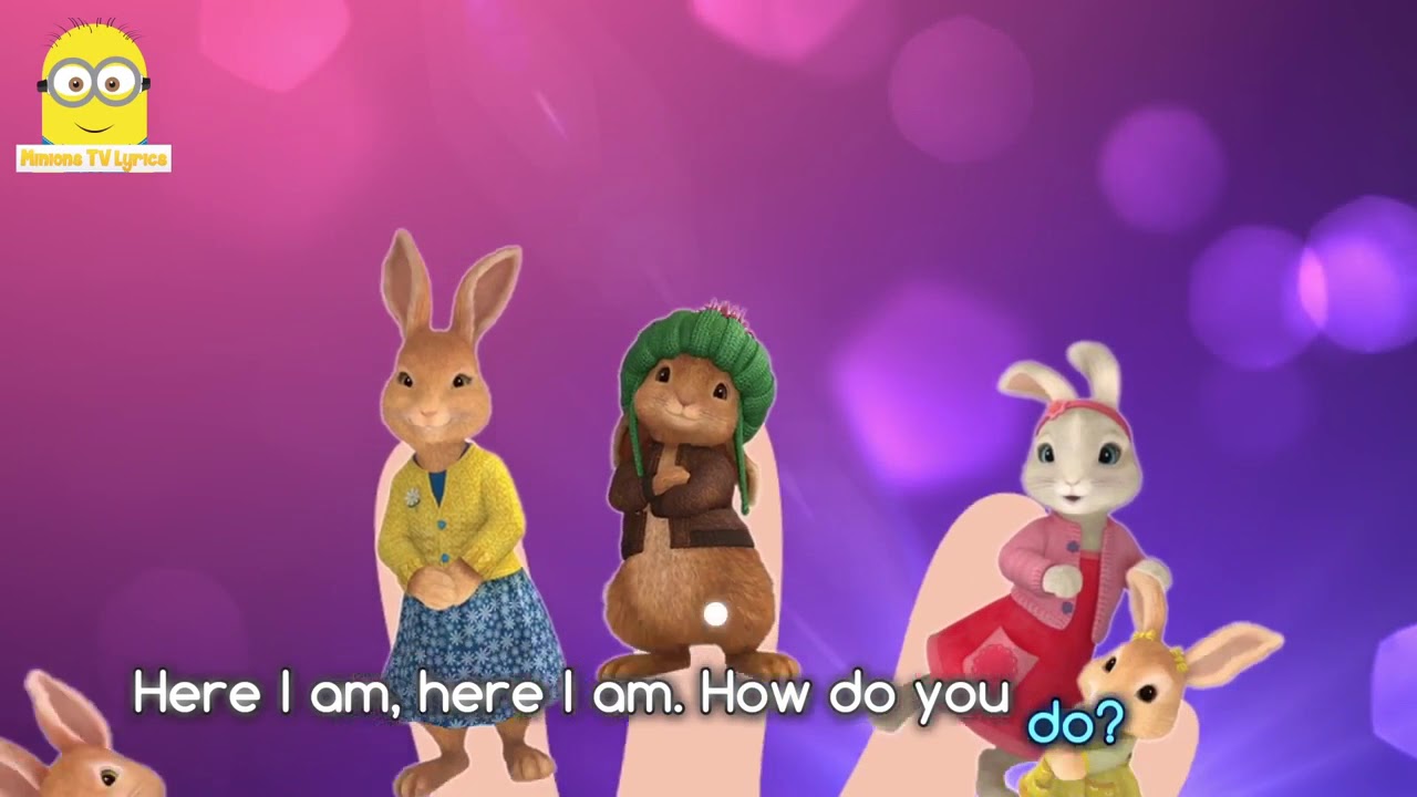 Peter Rabbit Finger Family Song Nursery Rhymes - YouTube
