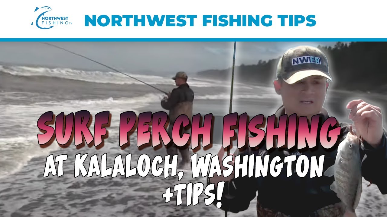 Surf Perch Fishing Tips at Kalaloch Washington | Northwest Fishing Tips ...