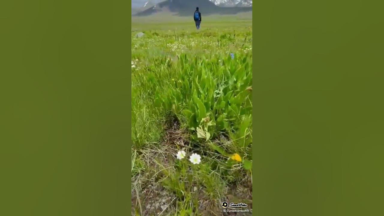 Beautiful Place Short Video YouTube beautiful-place-short-video-youtube