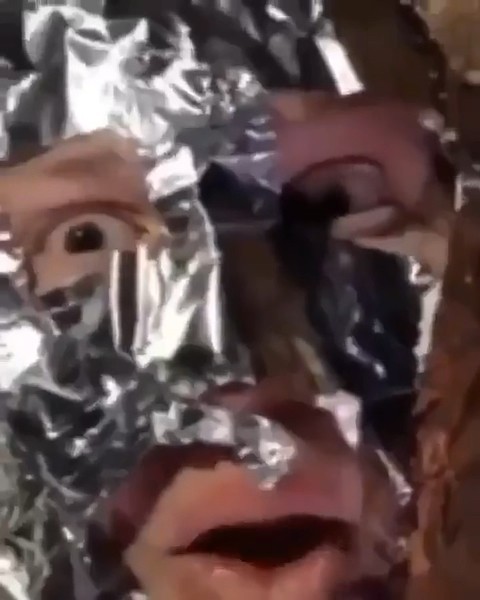 Tin foil man #memes #tinfoil - YouTube