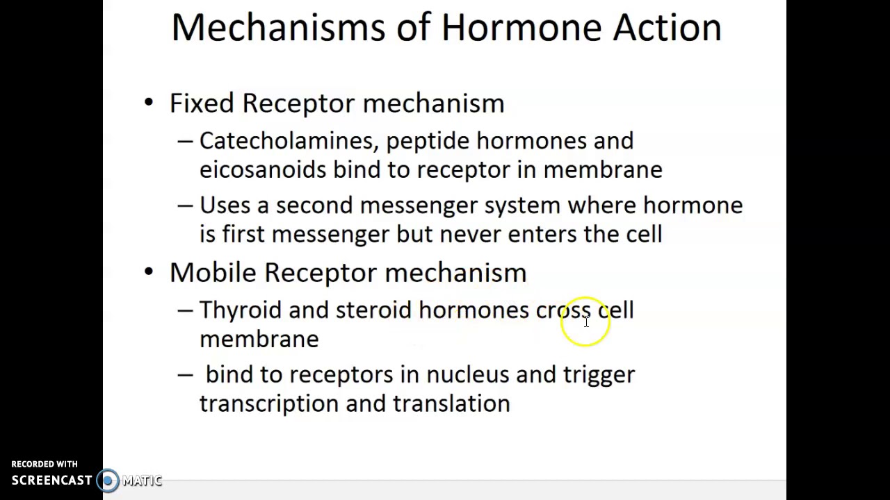 hormone review 2 fixed receptors and mobile receptors - YouTube