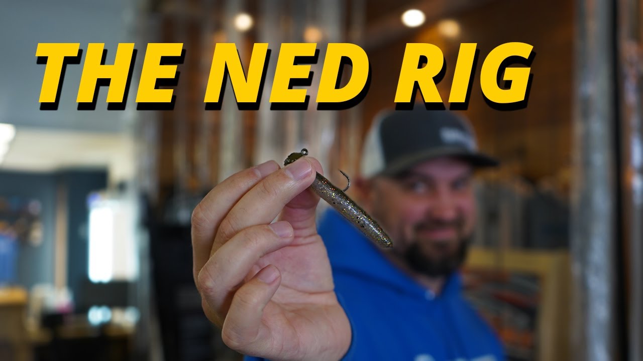 The Ned Rig: One of the Top Winter Baits - YouTube