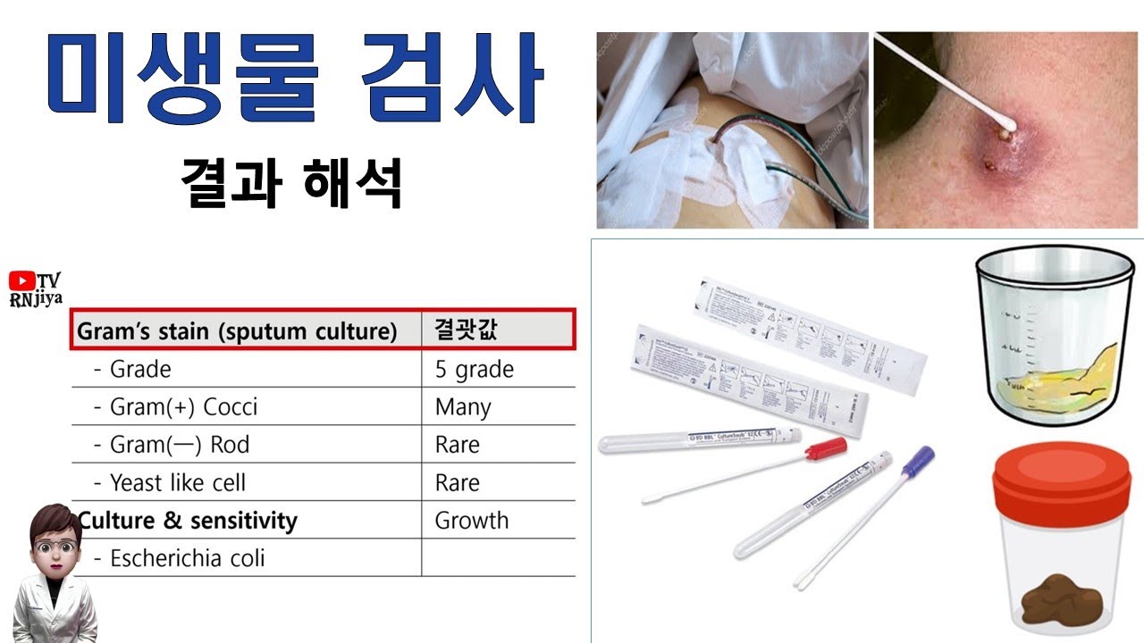 미생물검사 결과지 해석 - Culture (blood, sputum, urine, stool, drain) - YouTube