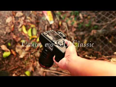 Canon Eos 5D Classic ( WITH SAMPLE IMAGES ) - YouTube