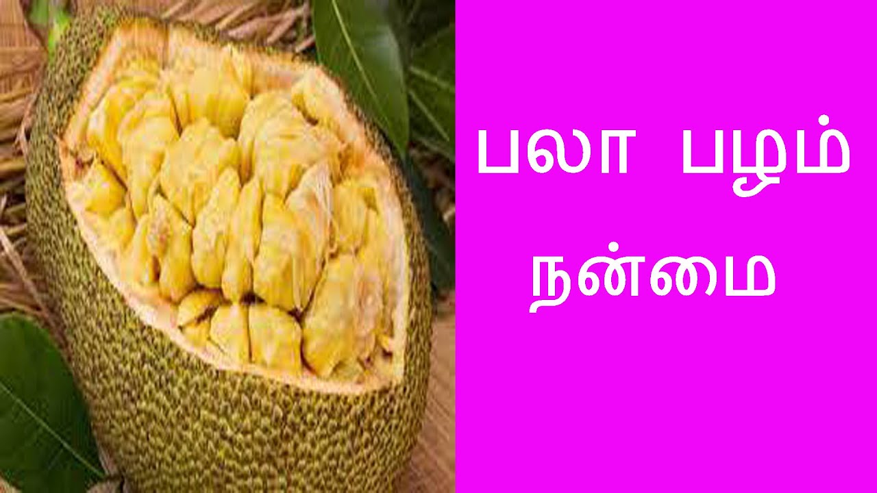 பலாப் பழம் நன்மை/palapazham benefits in tamil/pala palam - YouTube
