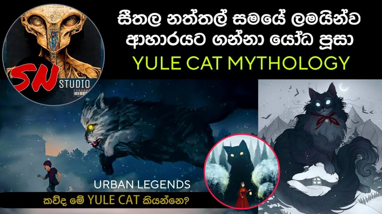 සීතල කාලෙට විතරක් එලියට එන්න පුලුවන් ශාපලත් පූසෙක්|මේ රාක්ශයා ආහාරයට ...