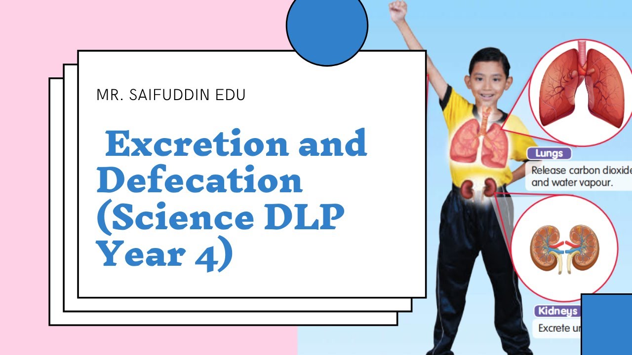 Science Year 4 DLP: Excretion and Defecation | Sains Tahun 4 ...
