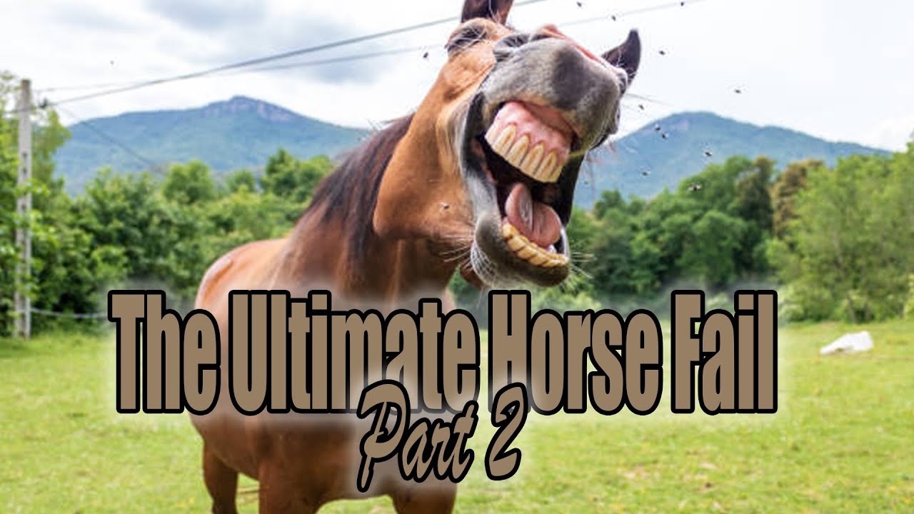 The Ultimate Horse Fail | PART2 - YouTube