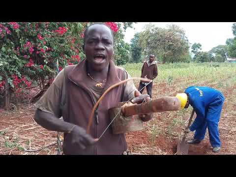 Wandindi Entertainment at Tharaka Nithi County.. - YouTube