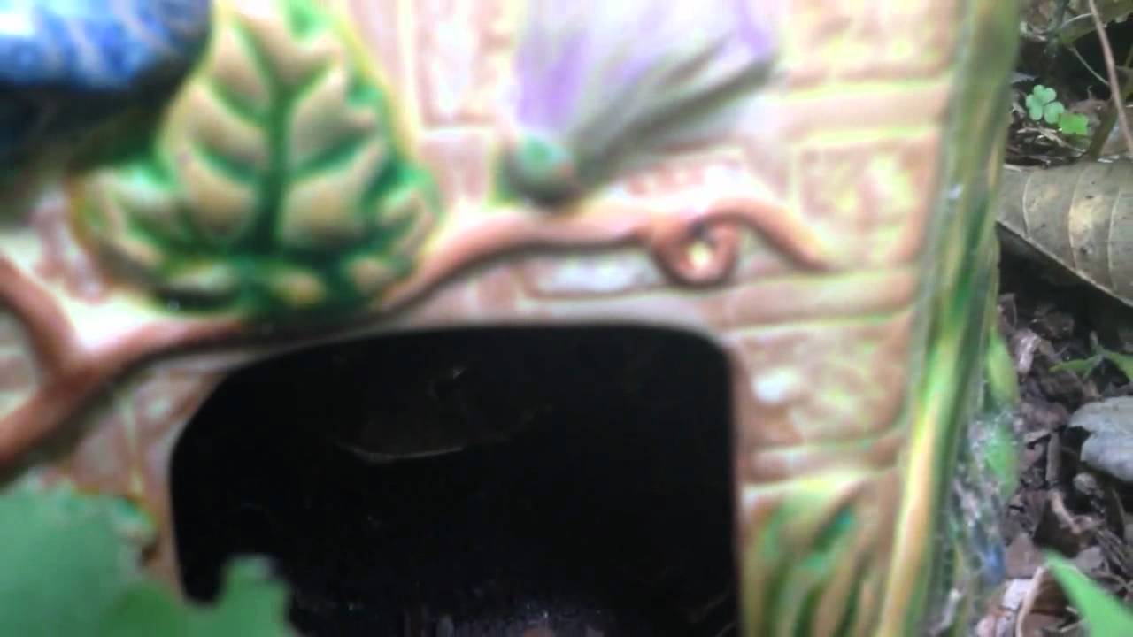 Inside The Toad House - YouTube