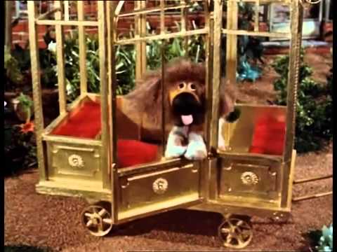 Dill the Dog - YouTube