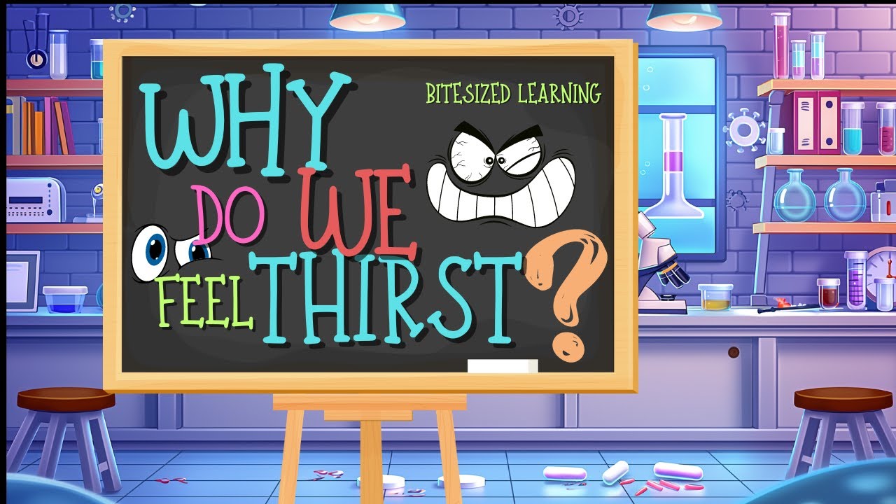 How Do We Feel Thirst? | Fun Facts About Our Bodies | Educational Video ...