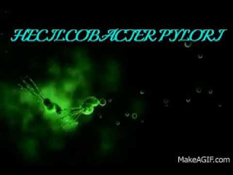 Helicobacter pylori 3D animation - YouTube