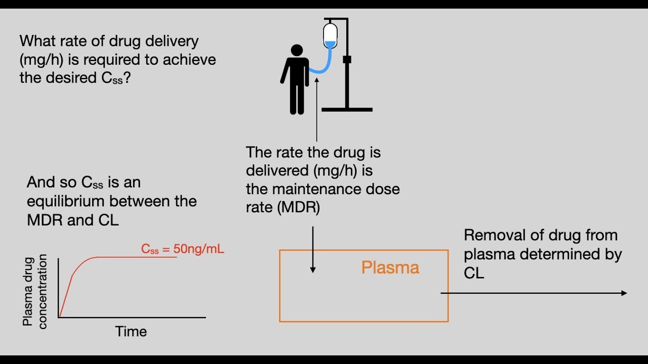 PK video 8A: repeat administration, intravenous dosing - YouTube