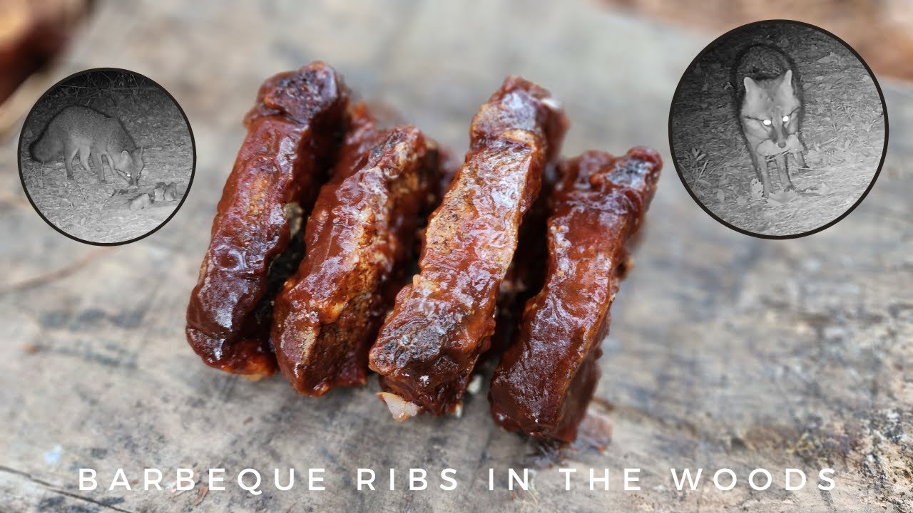 What Happens to BARBEQUE RIBS left in the woods? (trail cam video ...