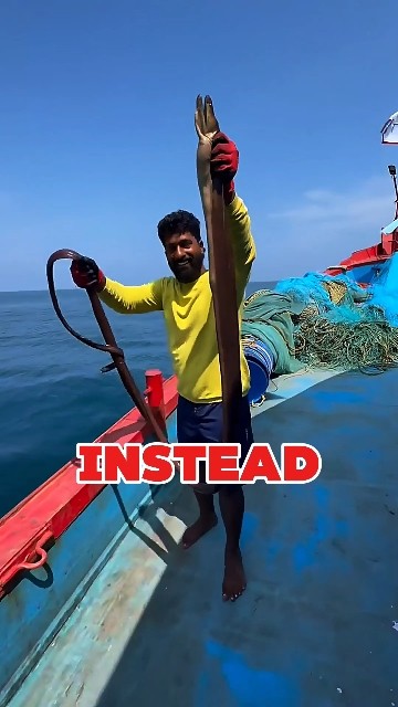 Unbelievable Catch! Fisherman Finds a Mysterious Sea Creature — Then ...