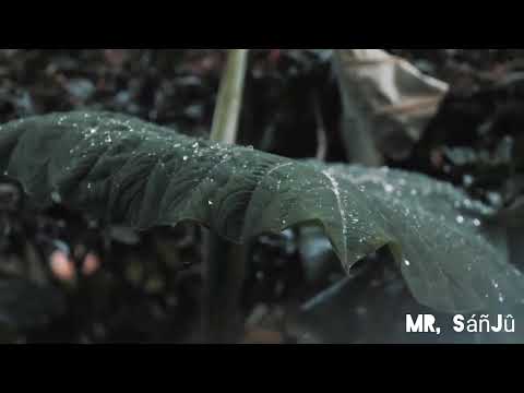 Best flute music status video ❤️❤️