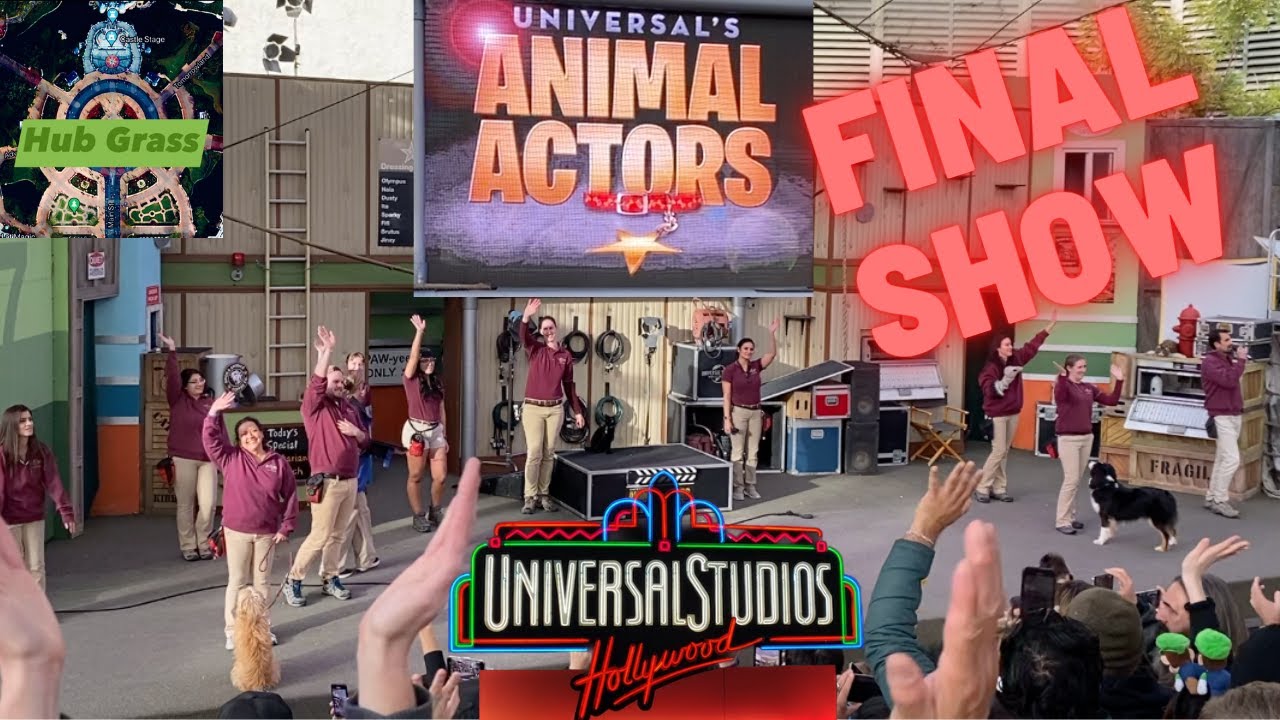 Animal Actors LAST SHOW EVER at Universal Studios Hollywood - YouTube