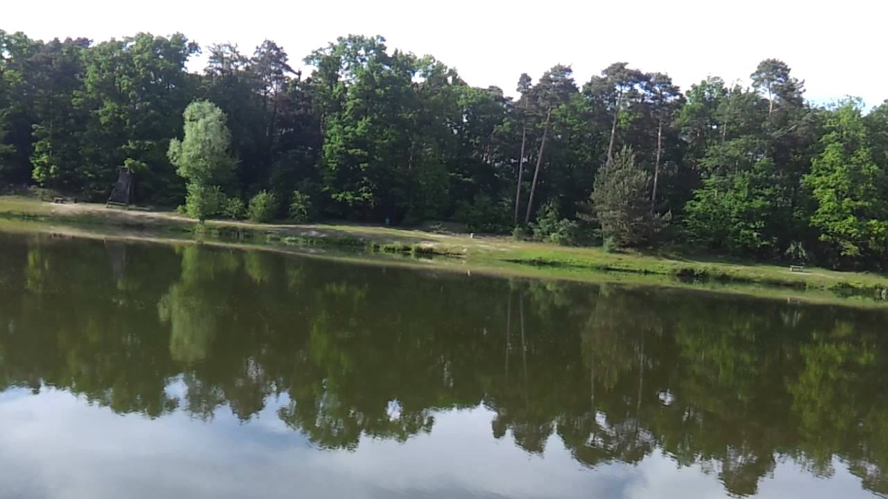 Waldsee Bad Laer