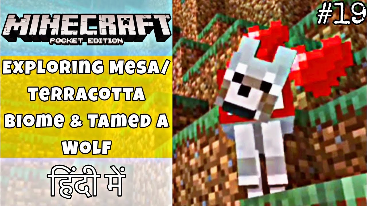 Exploring Mesa/Terracotta Biome & Tamed A Wolf (#19 Minecraft) - YouTube