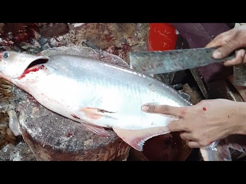 Live wonderful pangas fish cutting system - YouTube