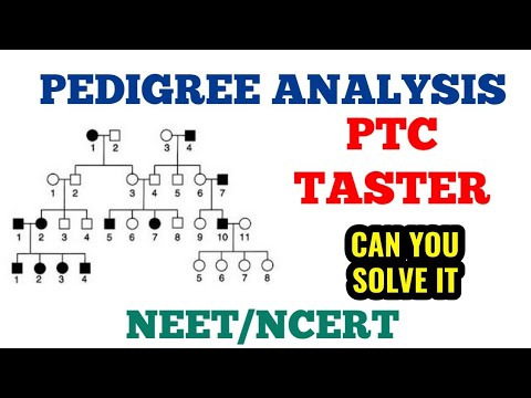 #Pedigree Analysis PTC Taster | Genetics | Can You Solve it? - YouTube