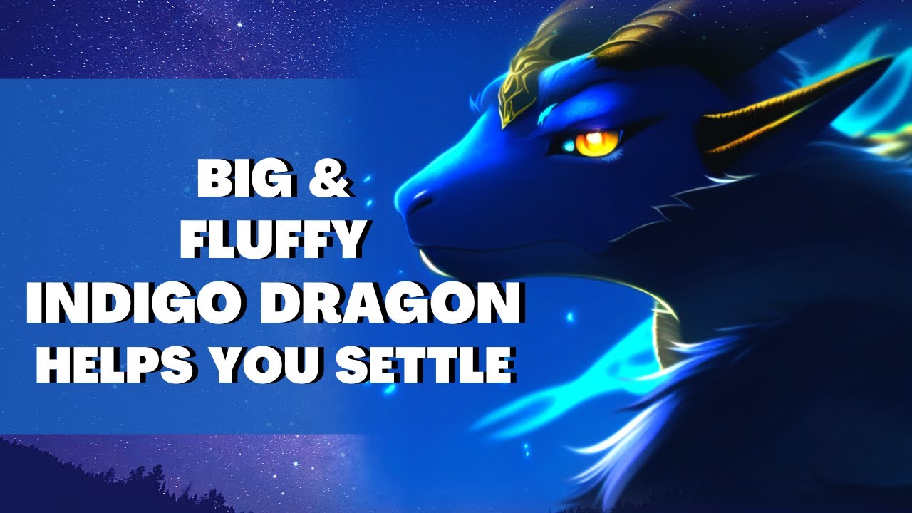 ASMR Big & Fluffy Indigo Dragon Helps You Settle [Adventure Sleep Aid ...