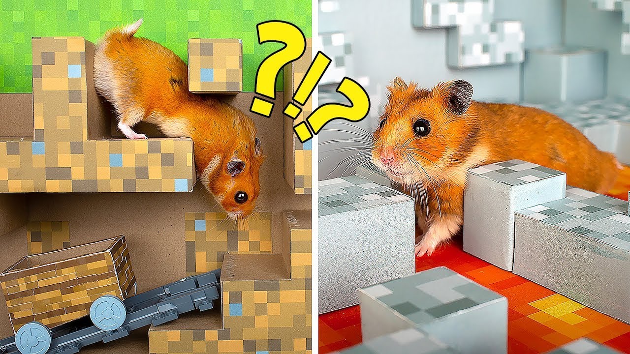 Niesamowity labirynt w stylu Minecrafta dla aktywnych chomików! 🐹 ️ ...