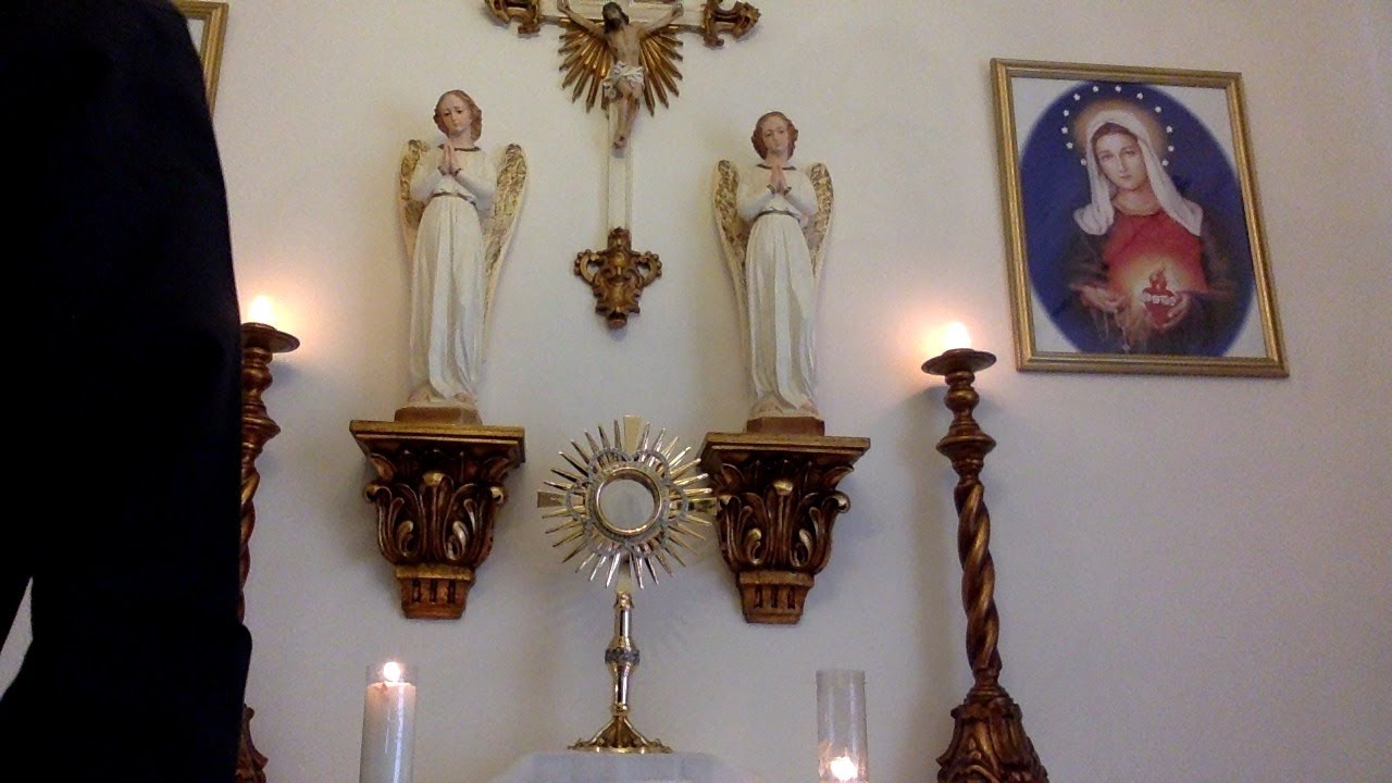 Hora Santa Mater Fátima - YouTube