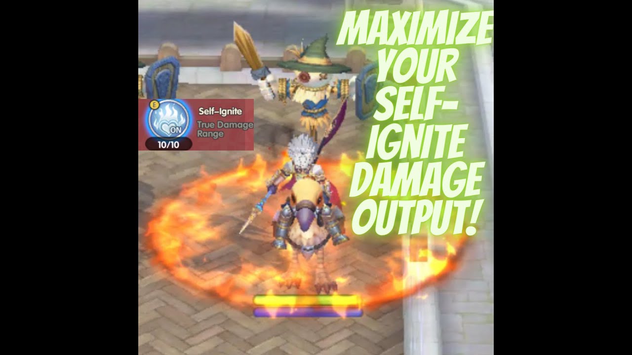 How to increase your self-ignite damage output ROX tutorial - YouTube