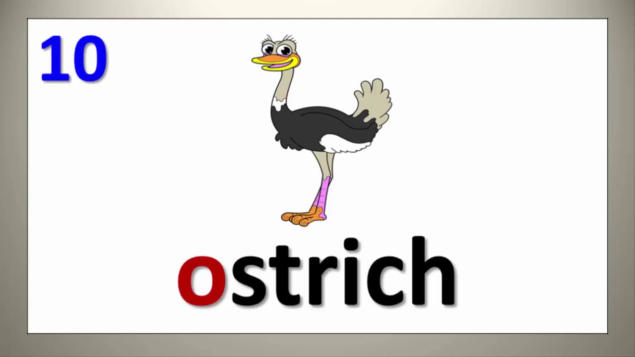 Easy English Sentences Unit 1 (兒童簡易英文句型) - YouTube