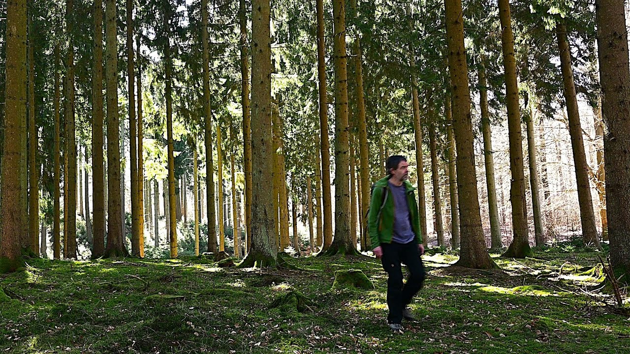 Early spring hike in Grib forest and lake Esrum - YouTube