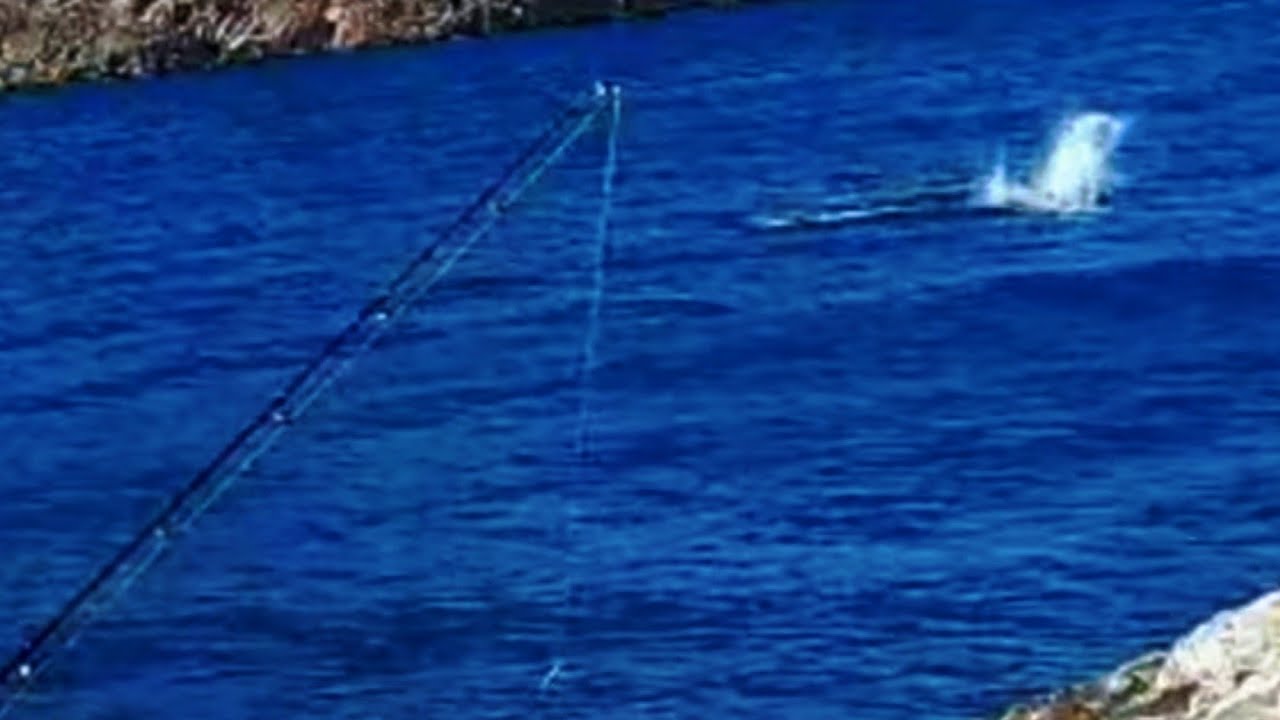Live Strike στον Αφρό από Τουνα σε Popper !! - YouTube