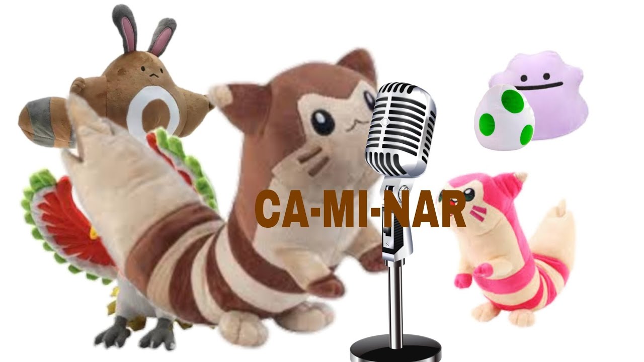 CA-MI-NAR -Cancion - YouTube