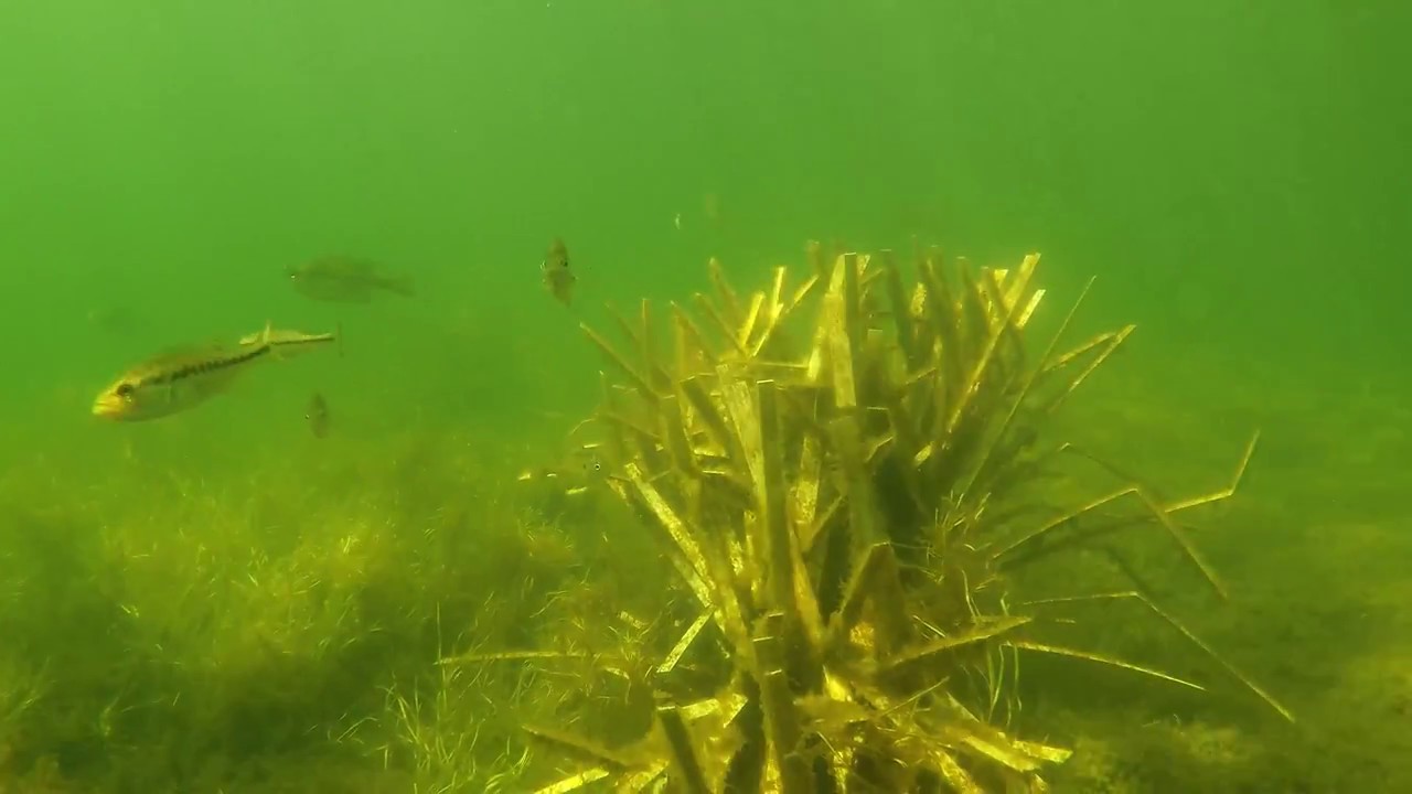 Fishiding Artificial Habitat models the SmallStake, Bunker and Cradle ...