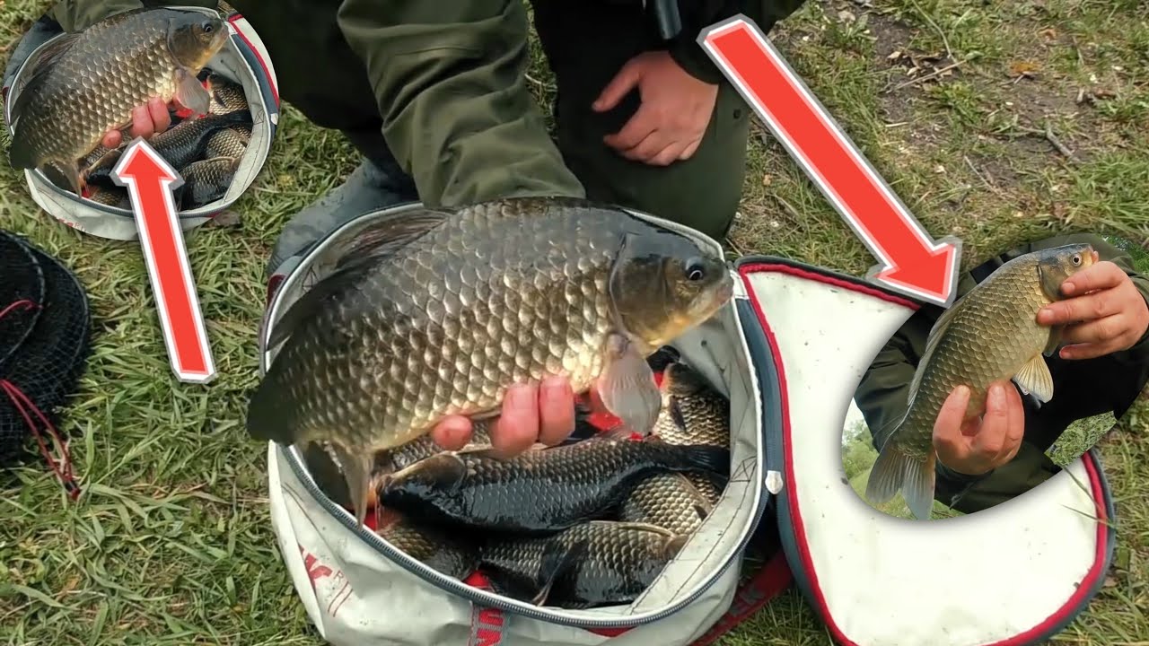 Far Eastern rural wild fishing, Amazing outdoor fish catching video ...