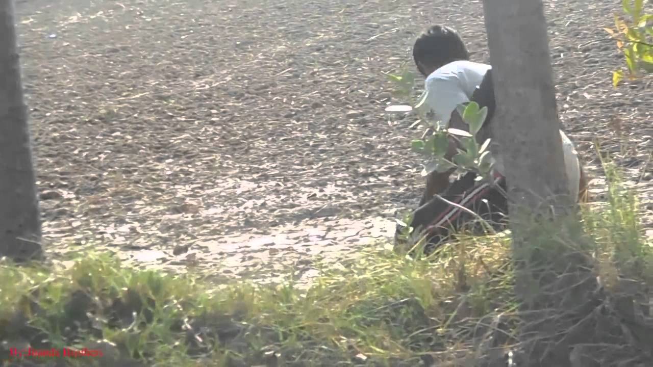 Common Myna Hunting Birds Shooting With Air Rifle - YouTube