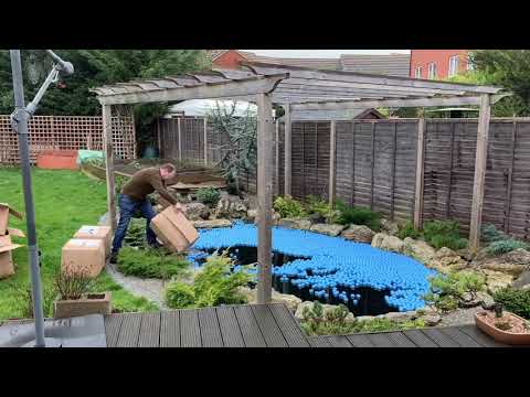 Simple installation of Euro-matic Pool Insulation Balls onto Koi Carp ...
