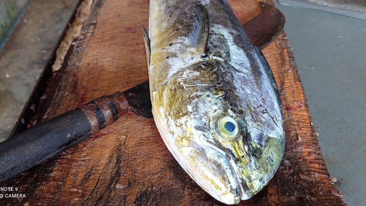 big pappans fish cutting skill - YouTube