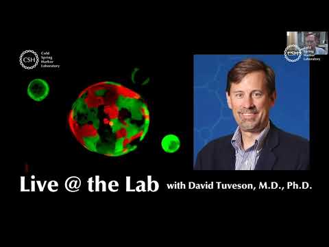 Live At The Lab: David Tuveson - YouTube