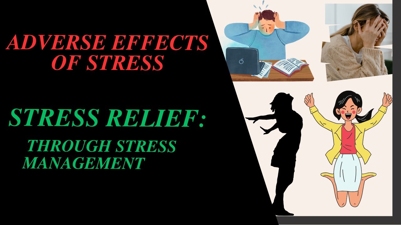 "Stress & Health: Navigating the Impact | Animated Conversation Between ...